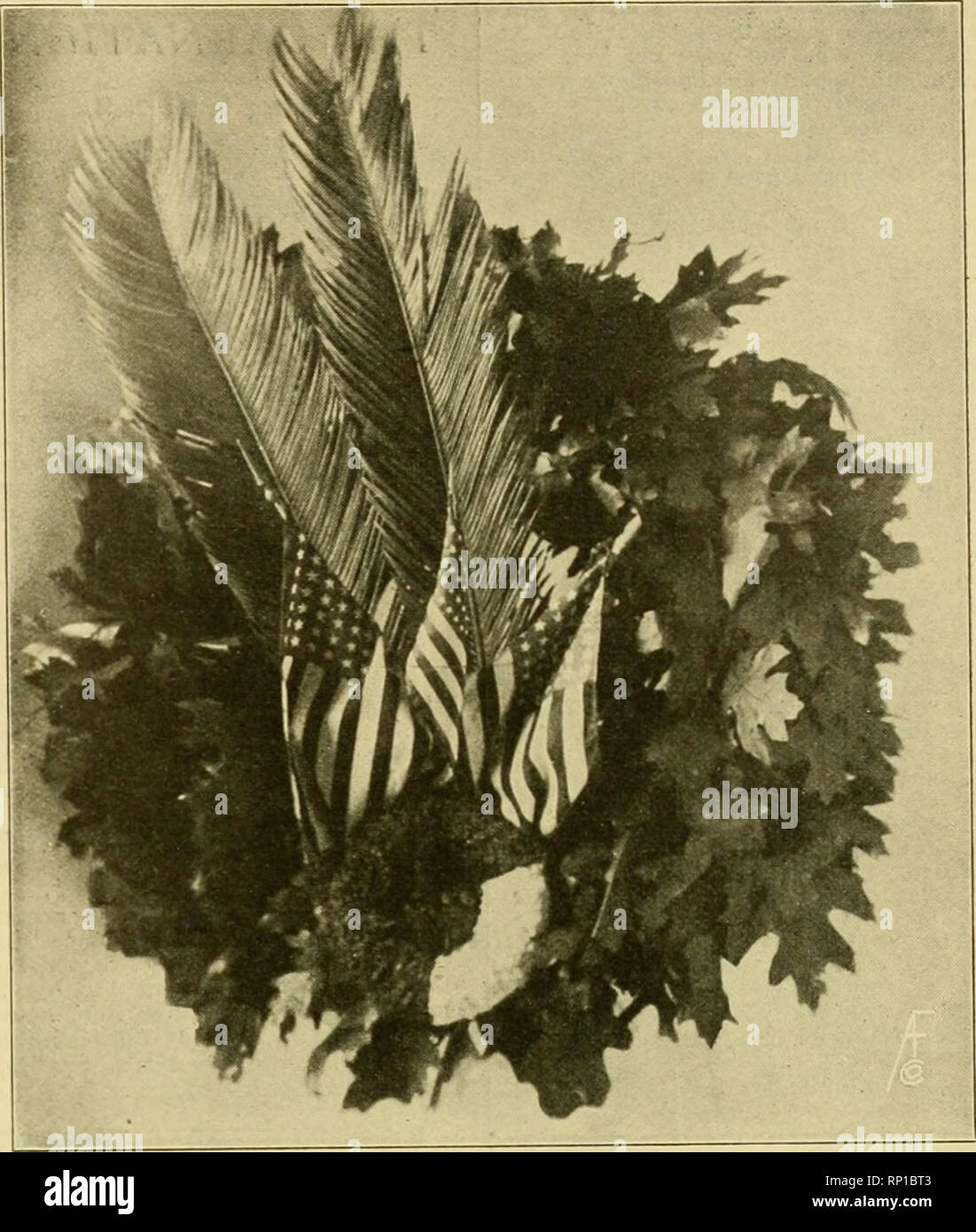 Throwing tea overboard hi-res stock photography and images - Alamy