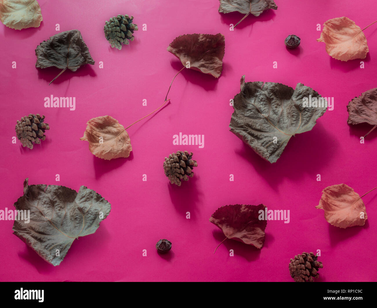 Fall pattern on strong pink background Stock Photo - Alamy