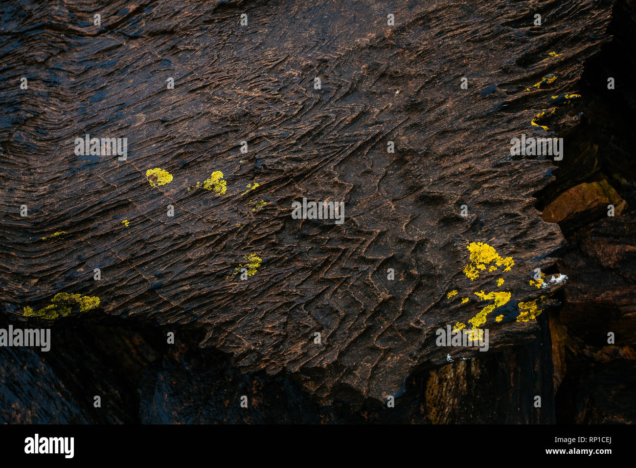 Amazing Textures in Rocks and Stones Stock Photo - Alamy