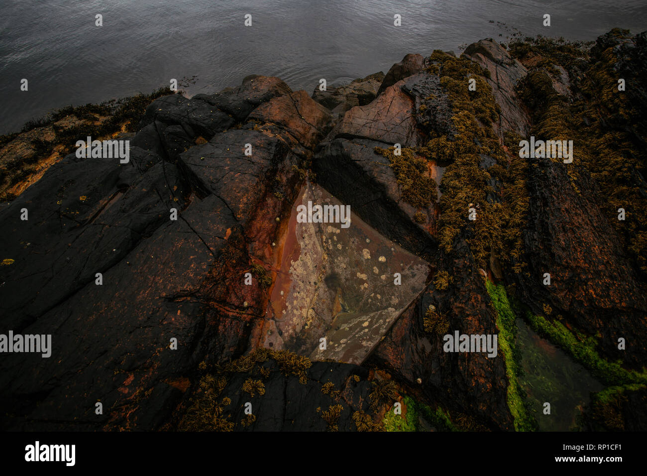 Amazing Textures in Rocks and Stones Stock Photo - Alamy