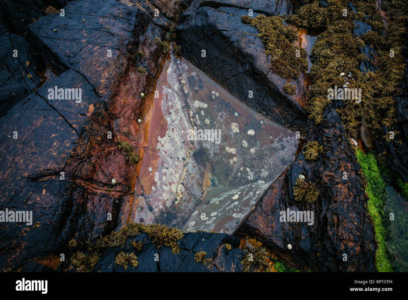 Amazing Textures in Rocks and Stones Stock Photo - Alamy