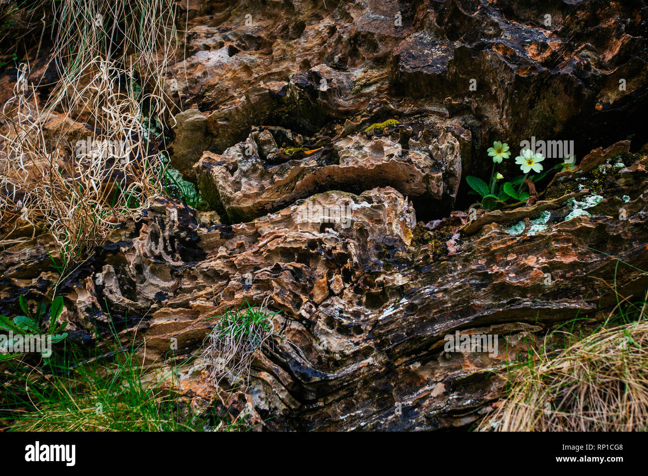 Amazing Textures in Rocks and Stones Stock Photo - Alamy