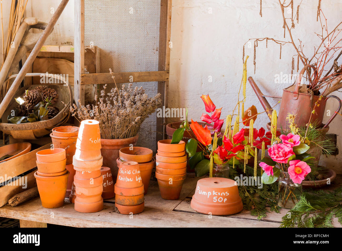 Garden plant pots and plants display Stock Photo - Alamy