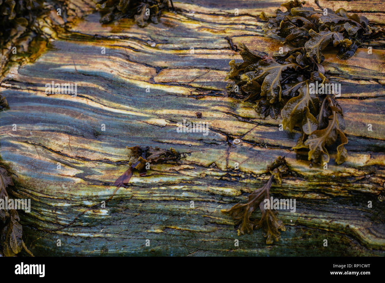 Amazing Textures in Rocks and Stones Stock Photo - Alamy