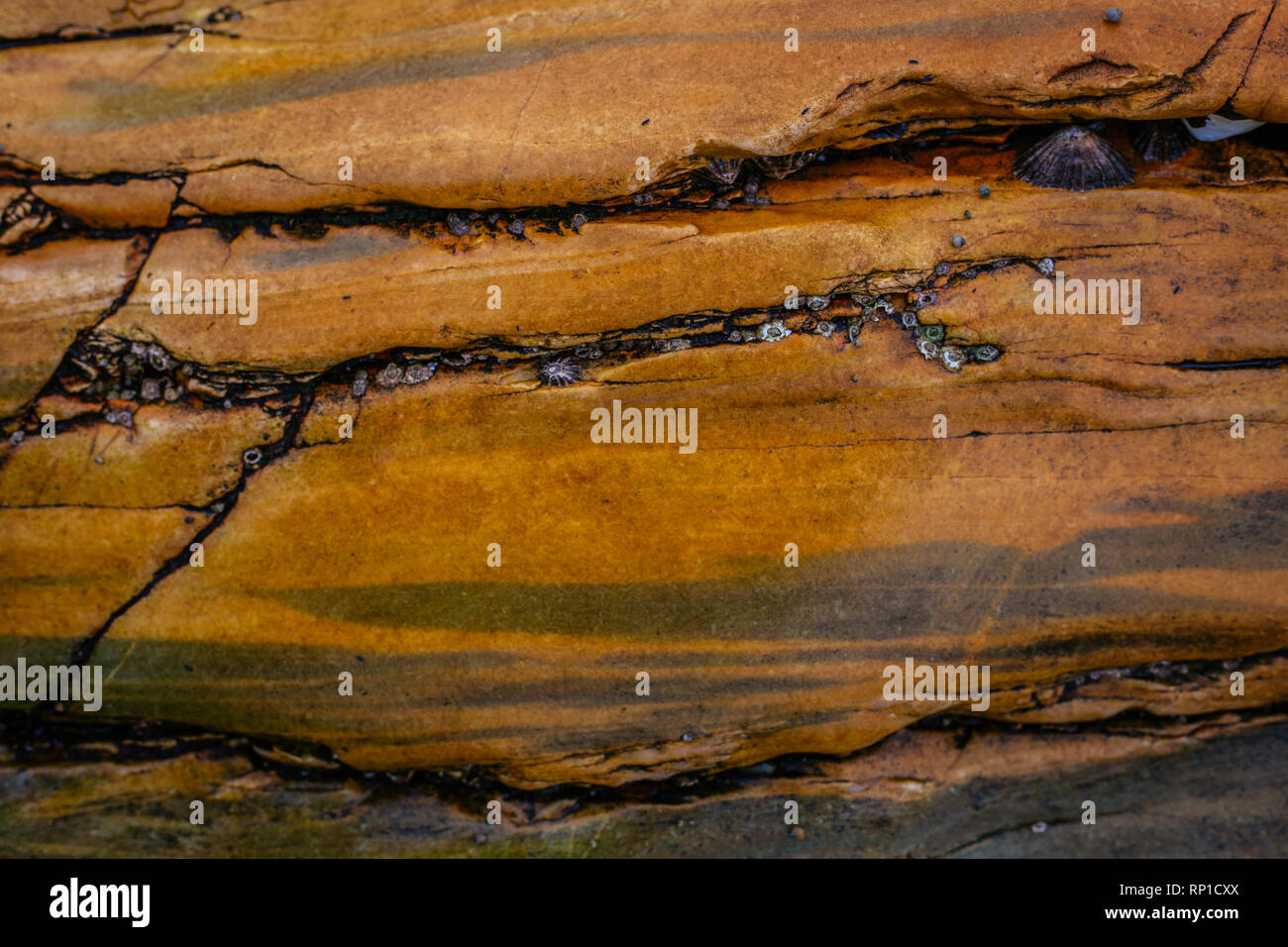 Amazing Textures in Rocks and Stones Stock Photo - Alamy
