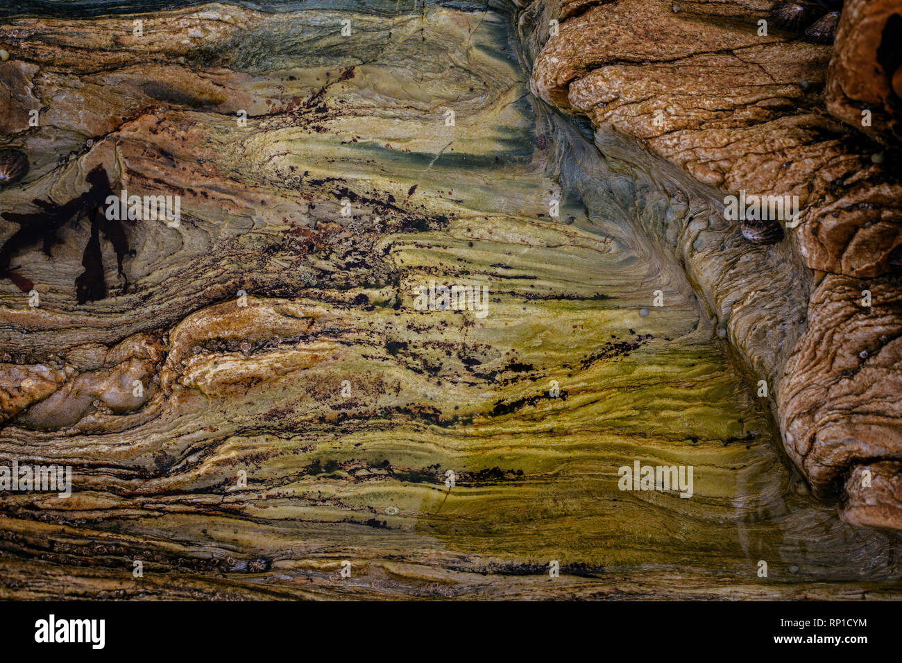 Amazing Textures in Rocks and Stones Stock Photo - Alamy