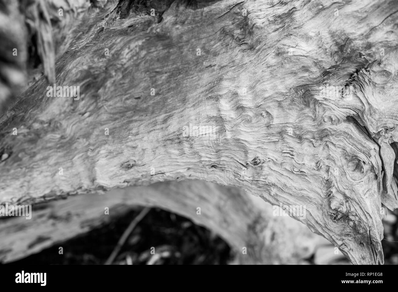 Amazing Textures in Rocks and Stones Stock Photo - Alamy