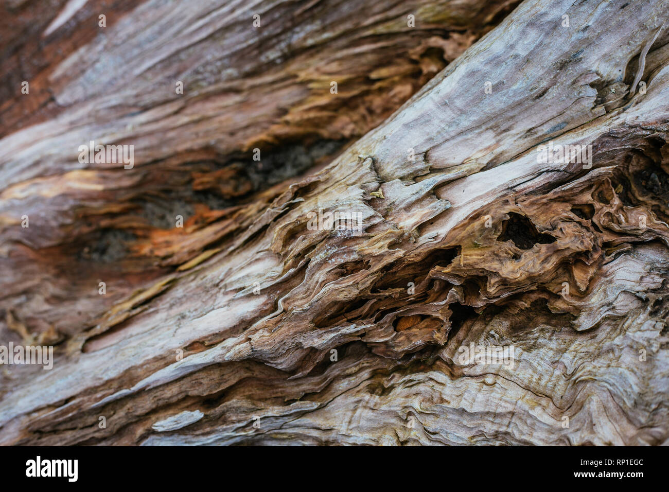 Amazing Textures in Rocks and Stones Stock Photo - Alamy