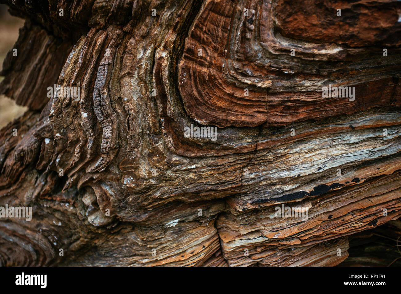 Amazing Textures in Rocks and Stones Stock Photo - Alamy