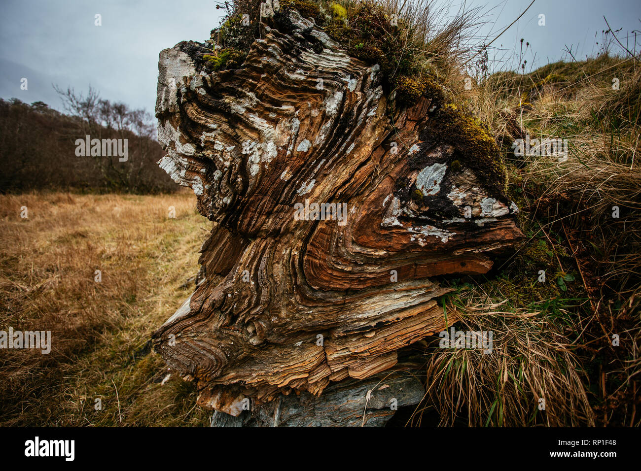 Amazing Textures in Rocks and Stones Stock Photo - Alamy
