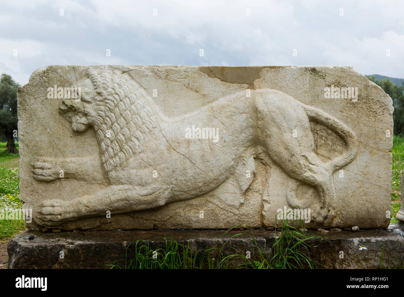 Lion frieze, Ancient Messene, Greece Stock Photo - Alamy