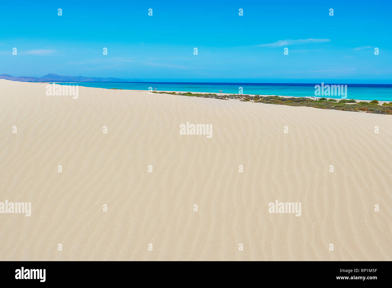 Sotavento Beach, Jandia Peninsula, Fuerteventura, Canary Islands, Spain ...