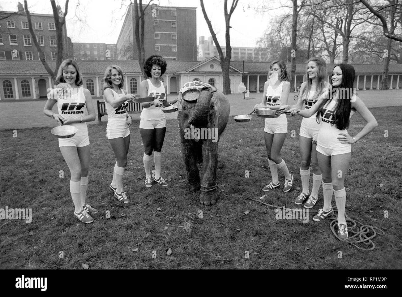 1970s food culture hi-res stock photography and images - Alamy