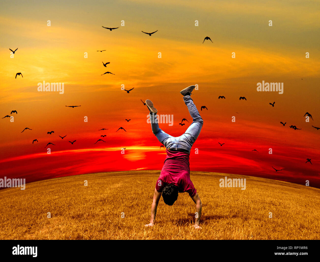 Handstand and acrobat hi-res stock photography and images - Alamy