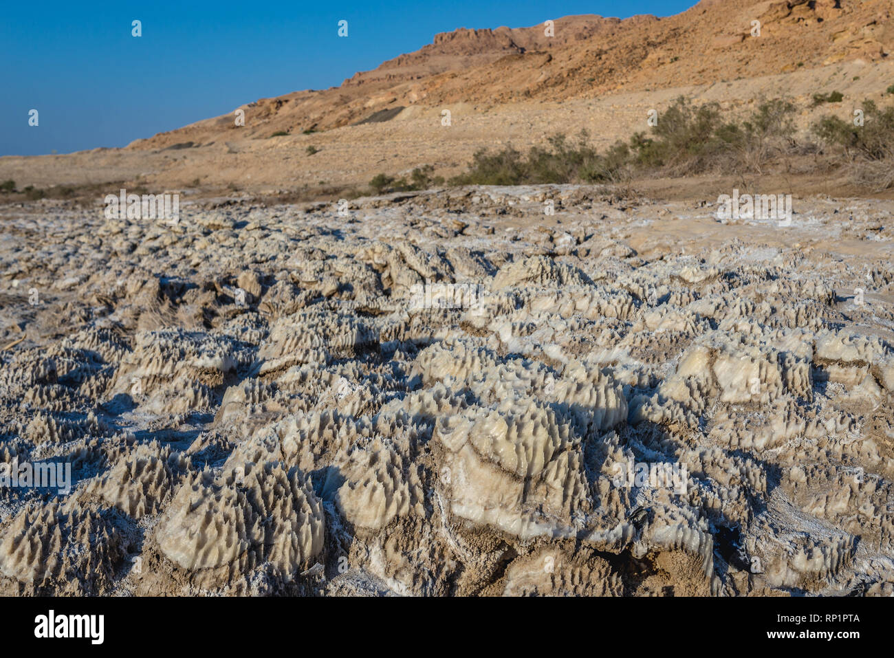 Details of halite deposits on a shore of Dead Sea in Jordan Stock Photo ...