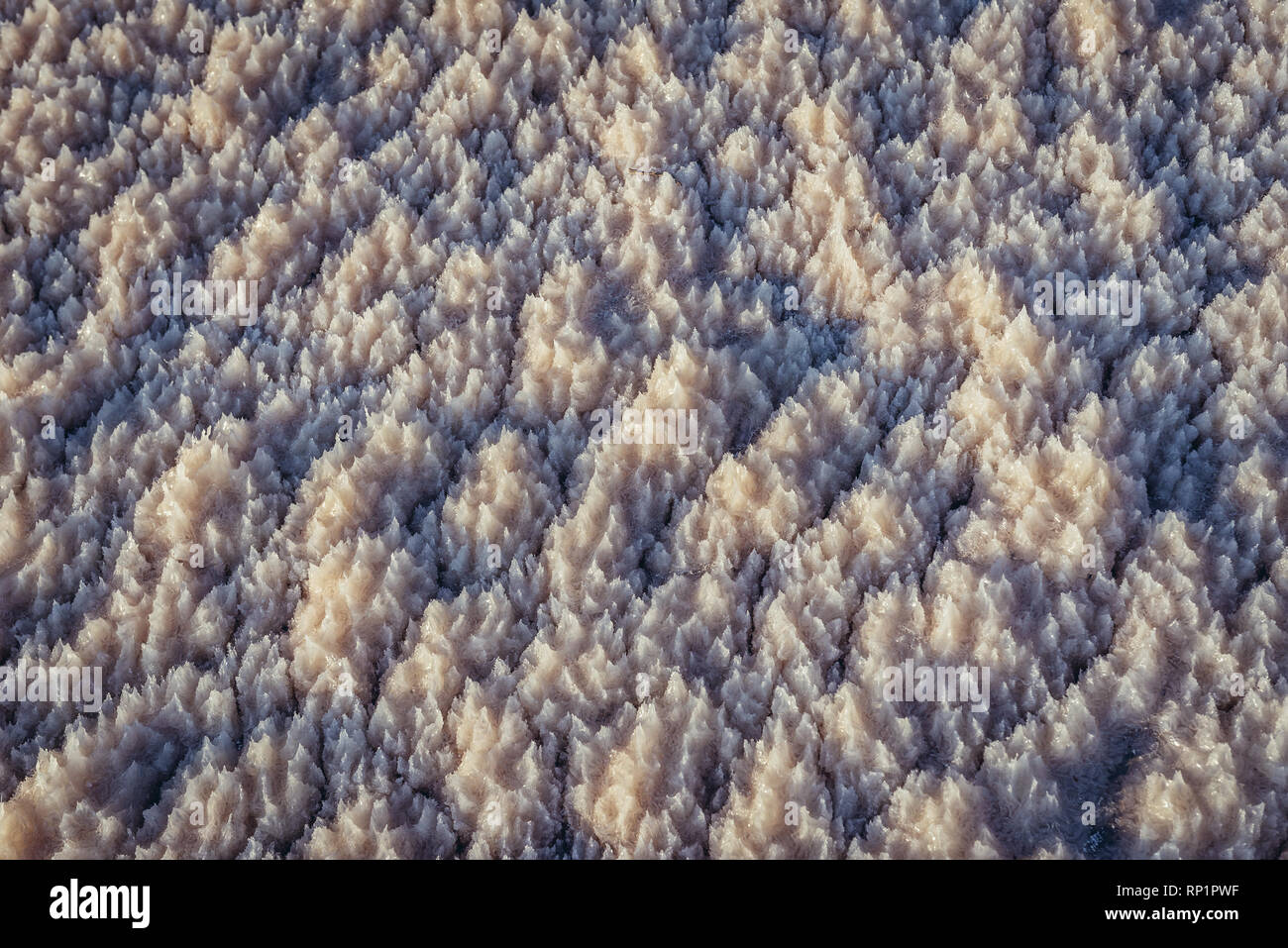 Dead sea halite deposits hi-res stock photography and images - Alamy