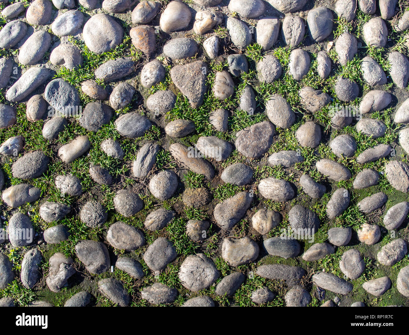 Pebbles concrete stone background hi-res stock photography and images ...