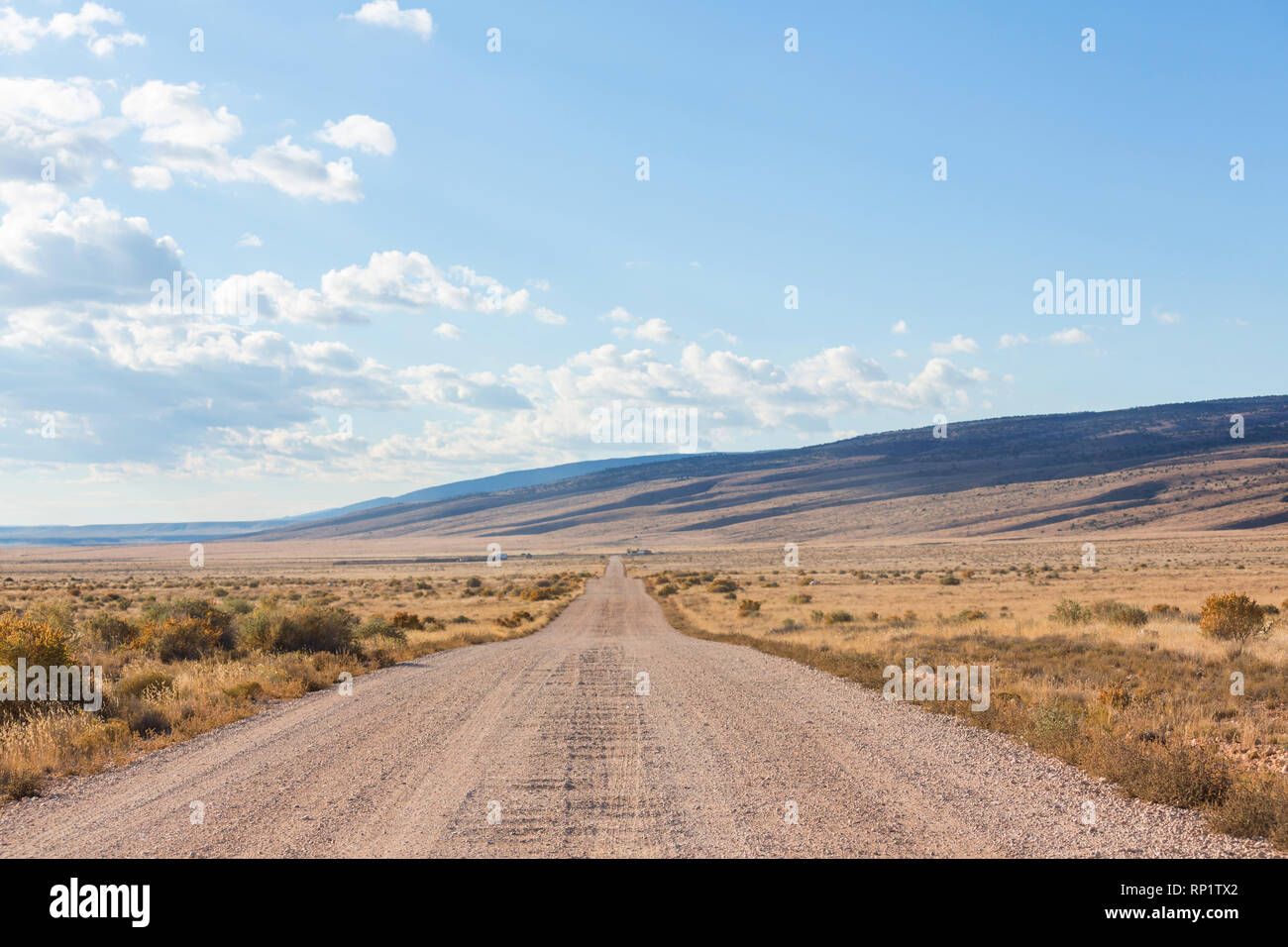 Road in the prairie country Stock Photo - Alamy