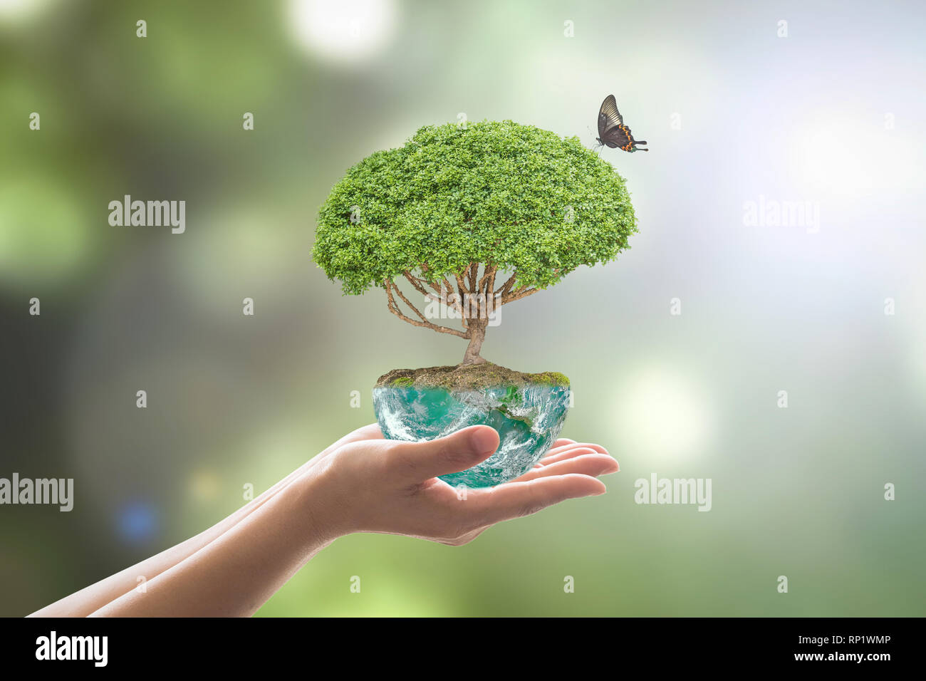 Green Globe High Resolution Stock Photography and Images - Alamy