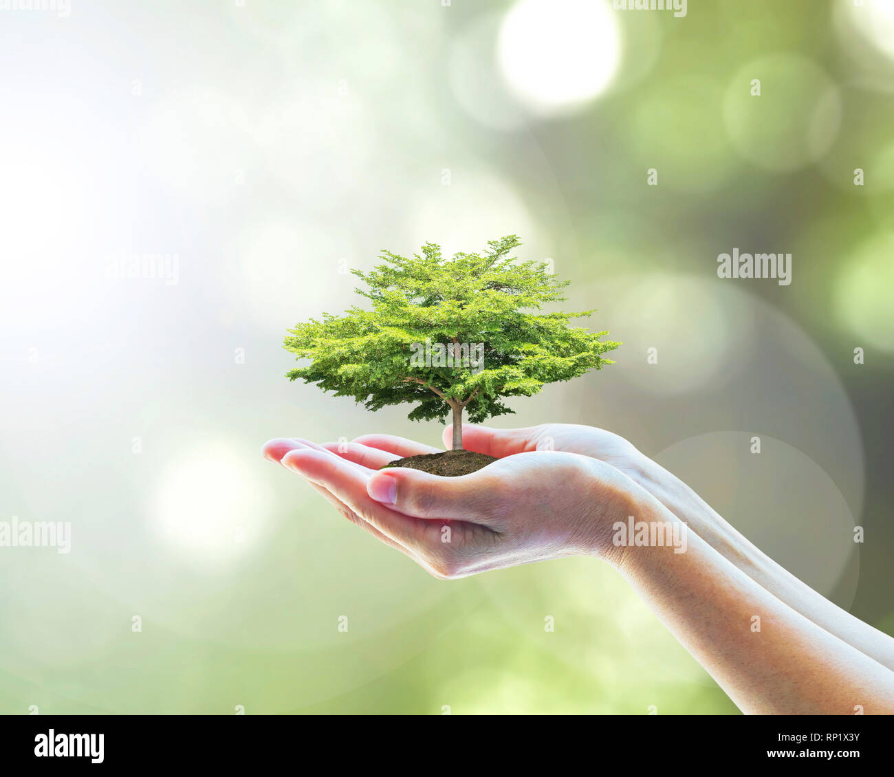 Educate environmental protection hi-res stock photography and images ...