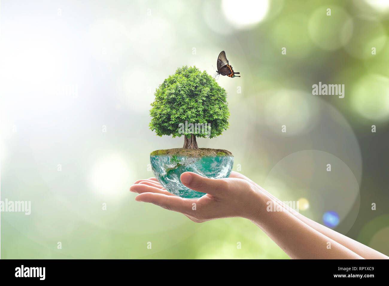 Conservation planing hi-res stock photography and images - Alamy