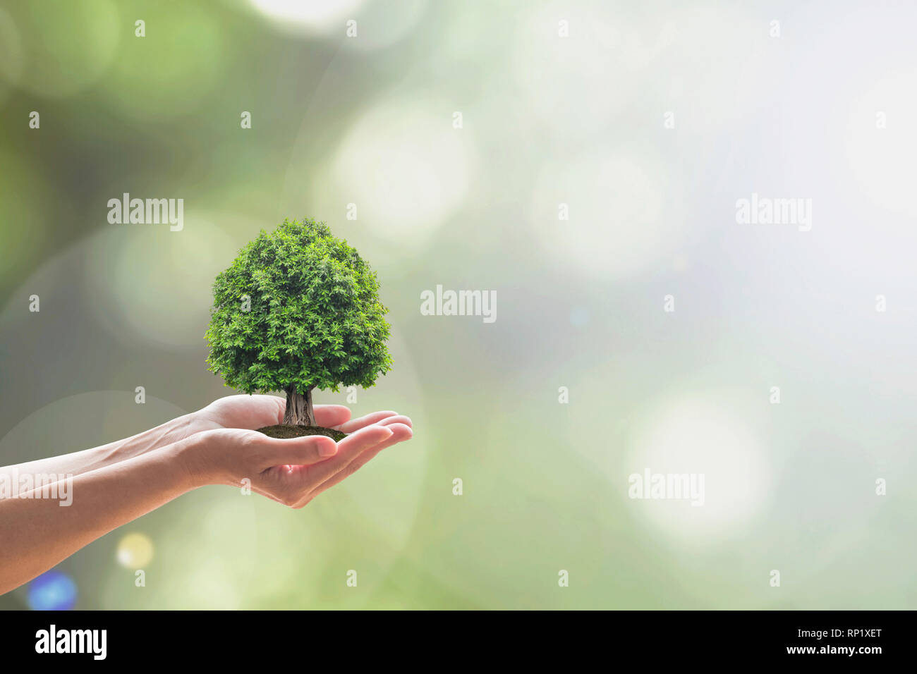 Educate environmental protection hi-res stock photography and images ...