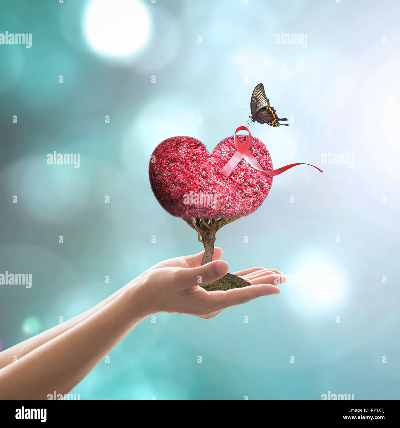 Hands make butterfly hi-res stock photography and images - Alamy