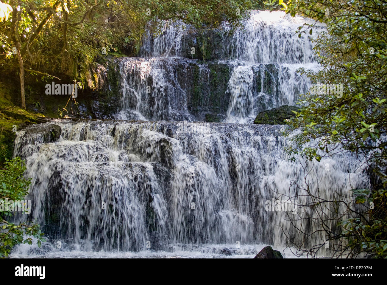 Rainforest waterfall new zealand hi-res stock photography and images ...