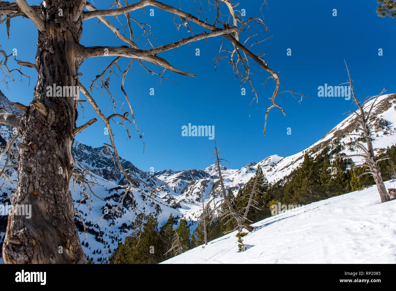 Ransol, Canillo, Andorra Stock Photo - Alamy