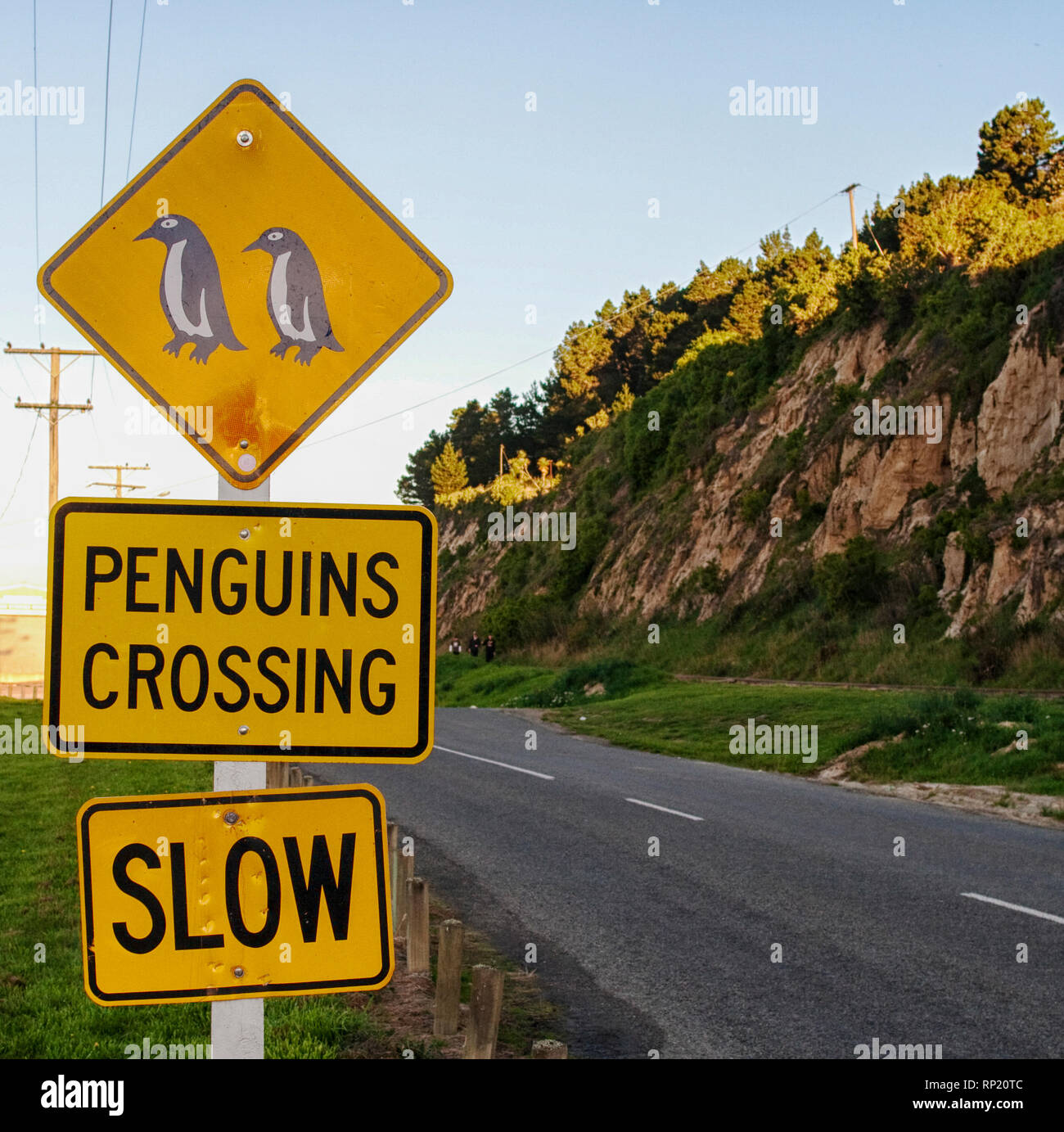 Slow penguins crossing road sign hi-res stock photography and images ...
