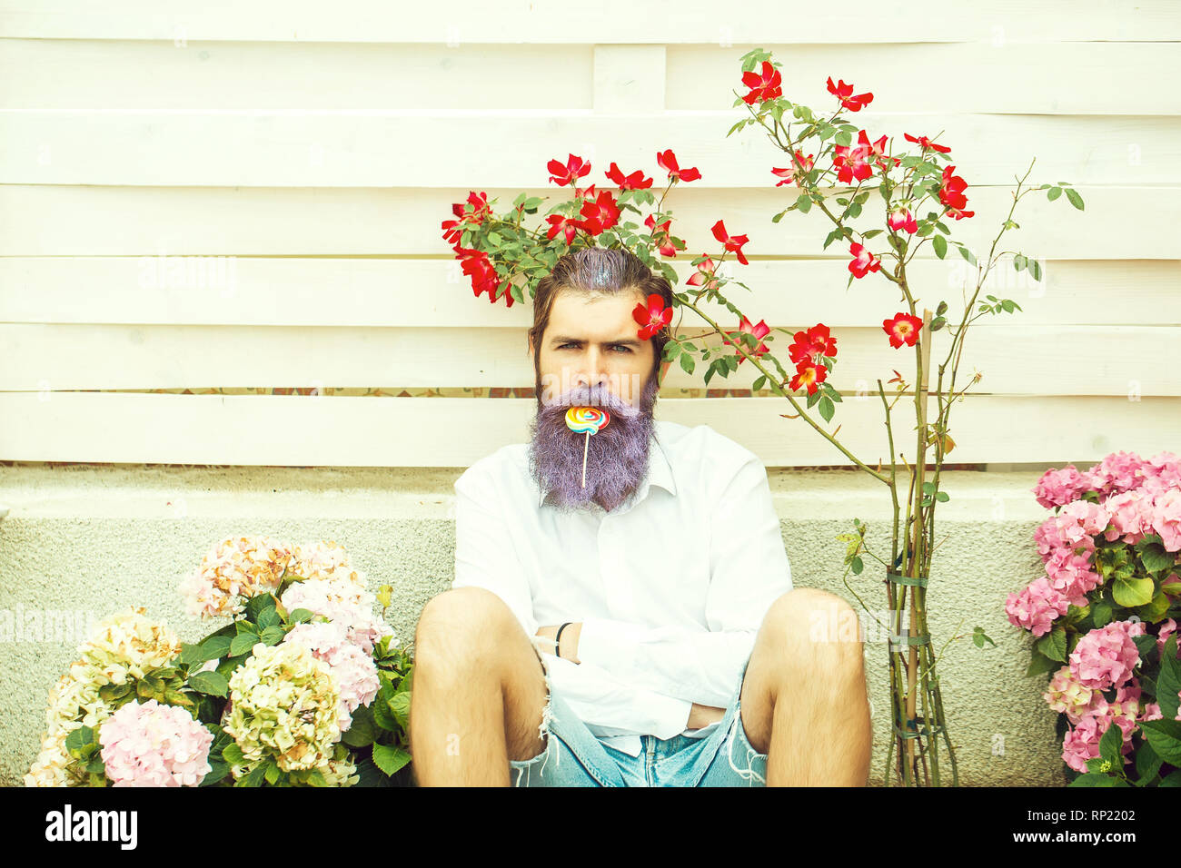 bearded man with blue beard and lollipop Stock Photo - Alamy