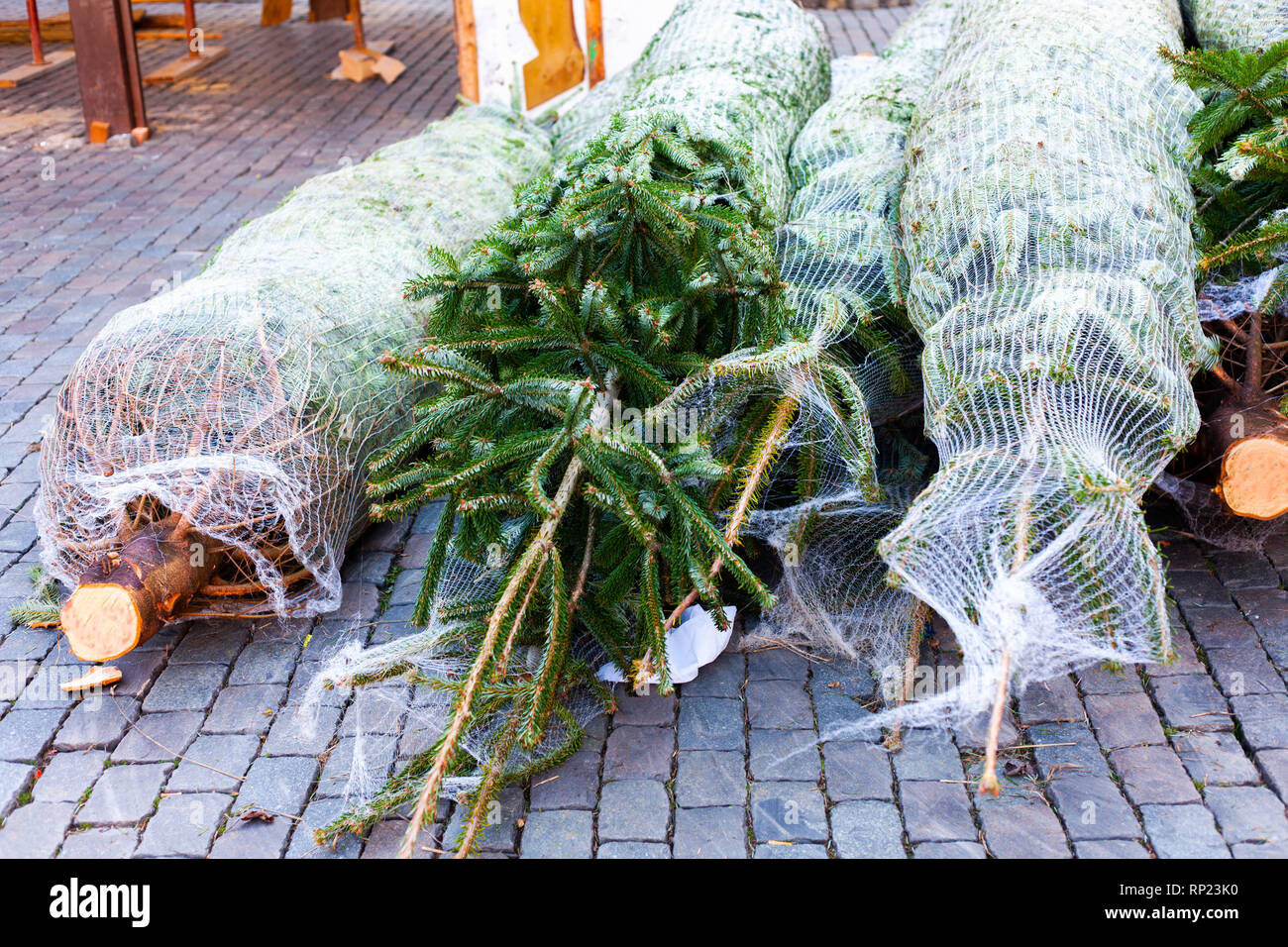 Marketplace with Christmas trees for sale. Save our forests concept ...