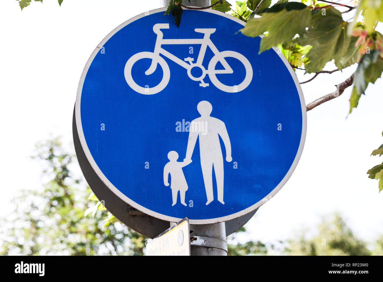 Road sign for bikes and pedestrians. Blue round traffic sign for safety ...