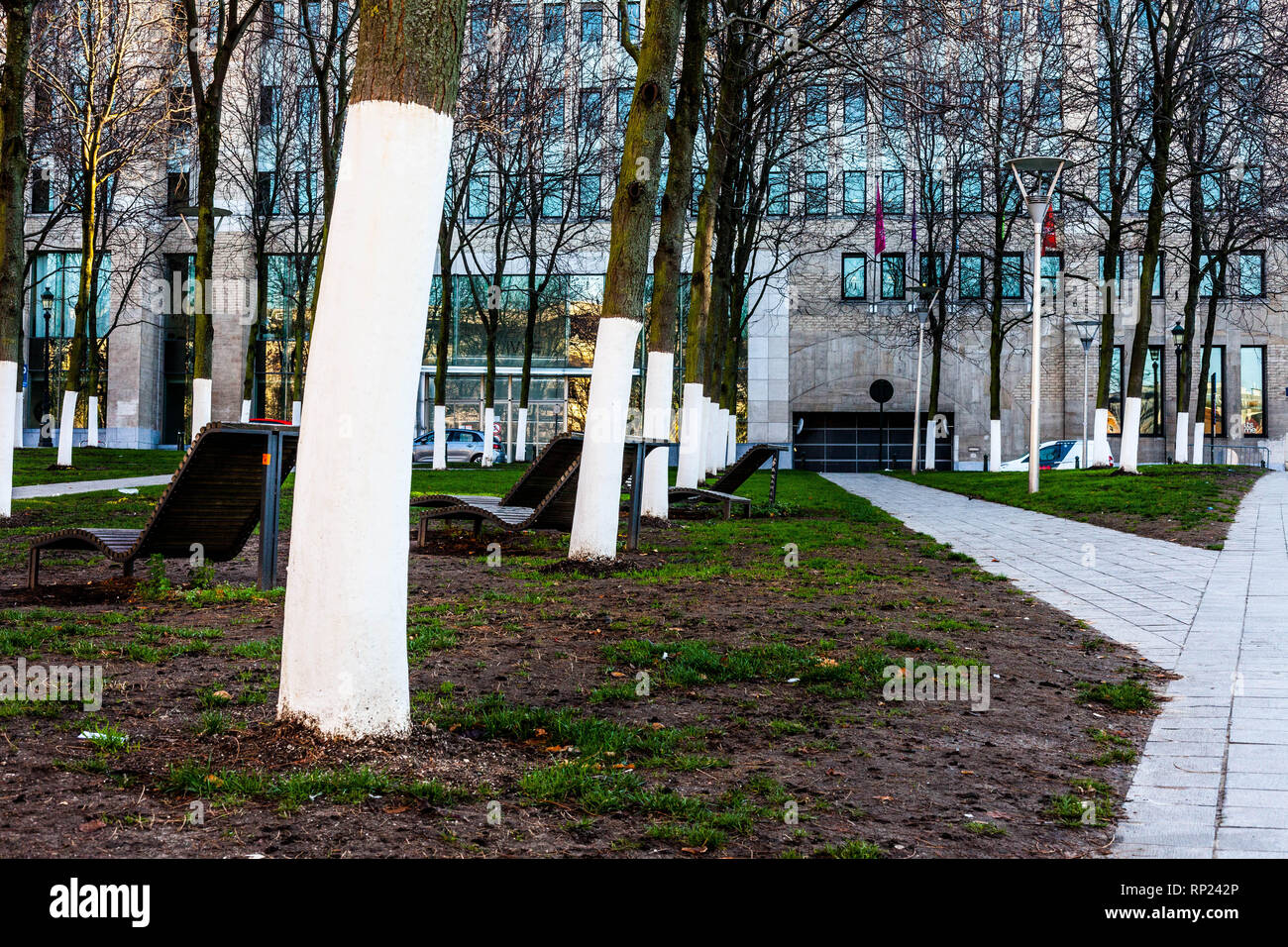 Park with trees painted in white. The protection of trees from insects ...