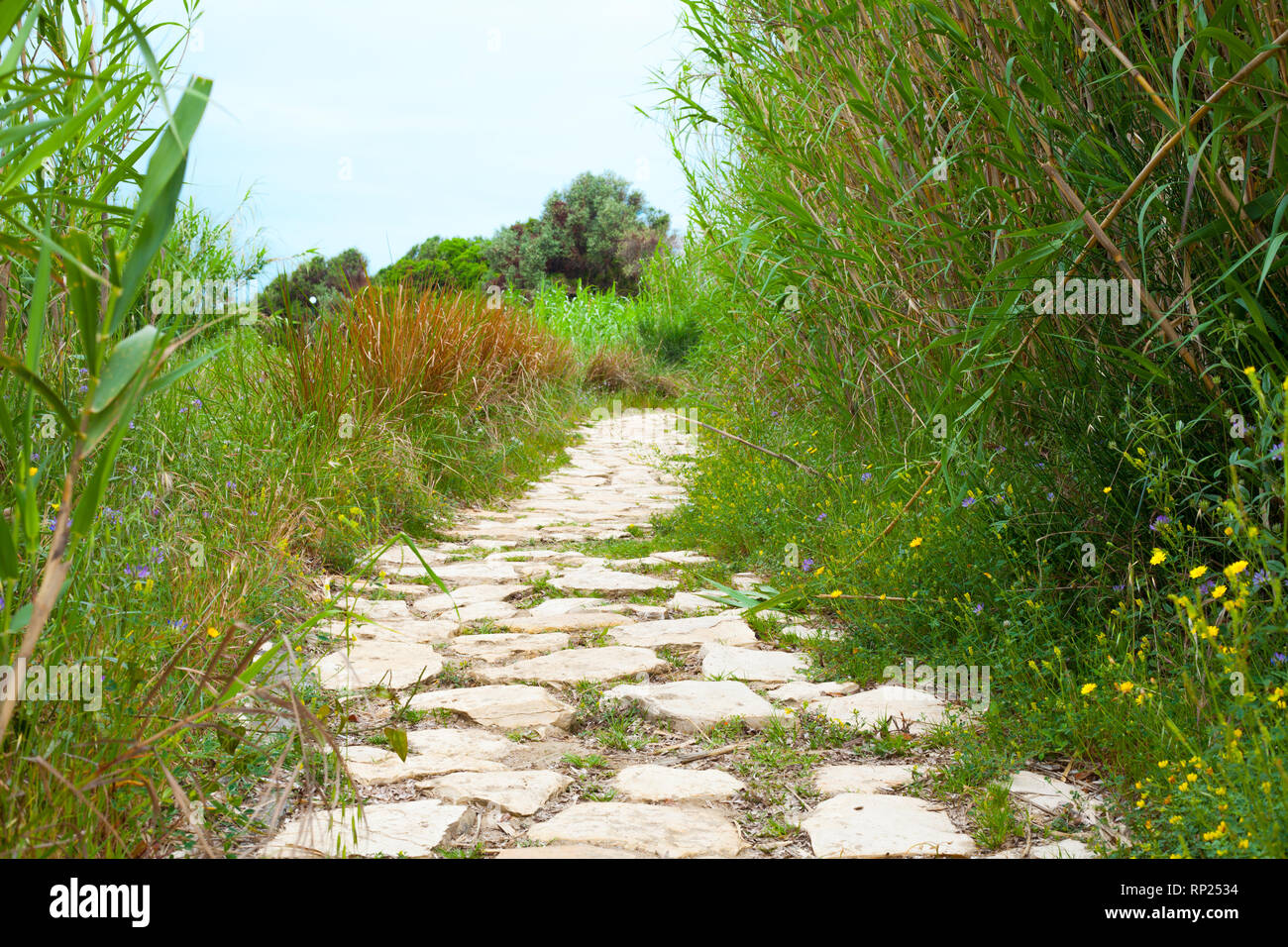 Stepping Stones Pavement Path High Resolution Stock Photography and ...