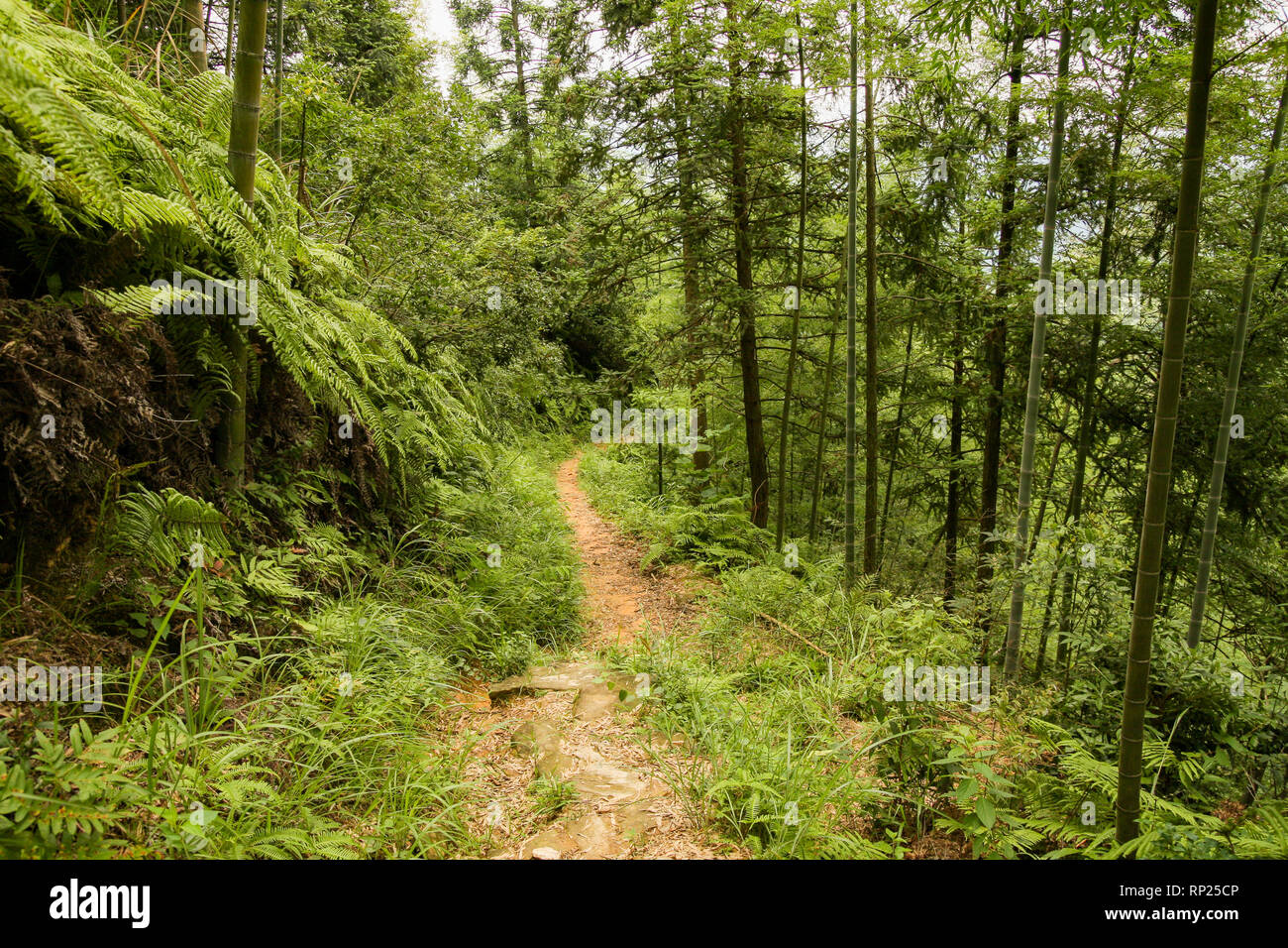 Small path in chinese mountains Stock Photo - Alamy