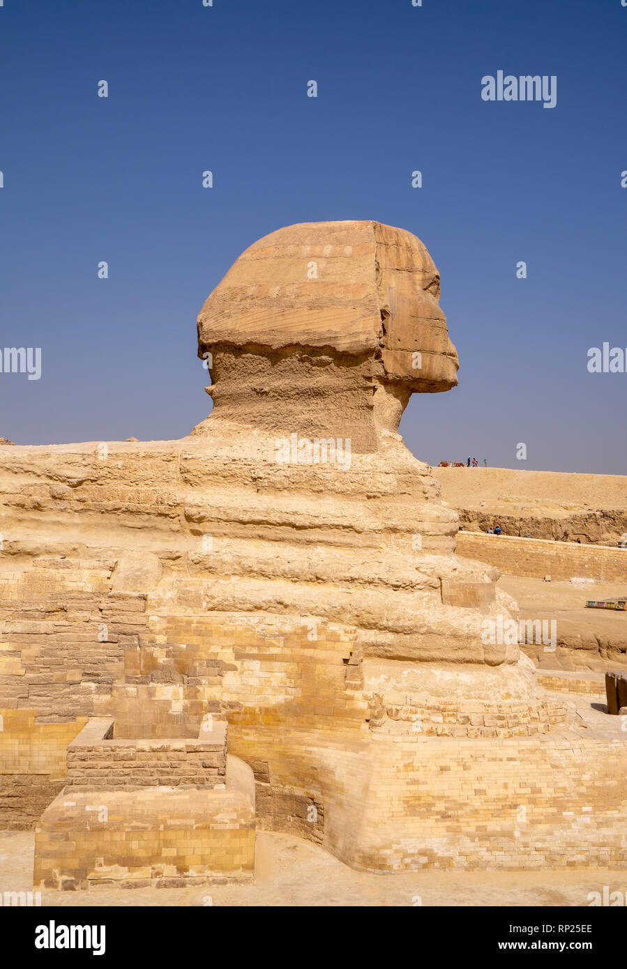 Great Sphinx of Giza, with the Great Pyramid in the background Stock ...