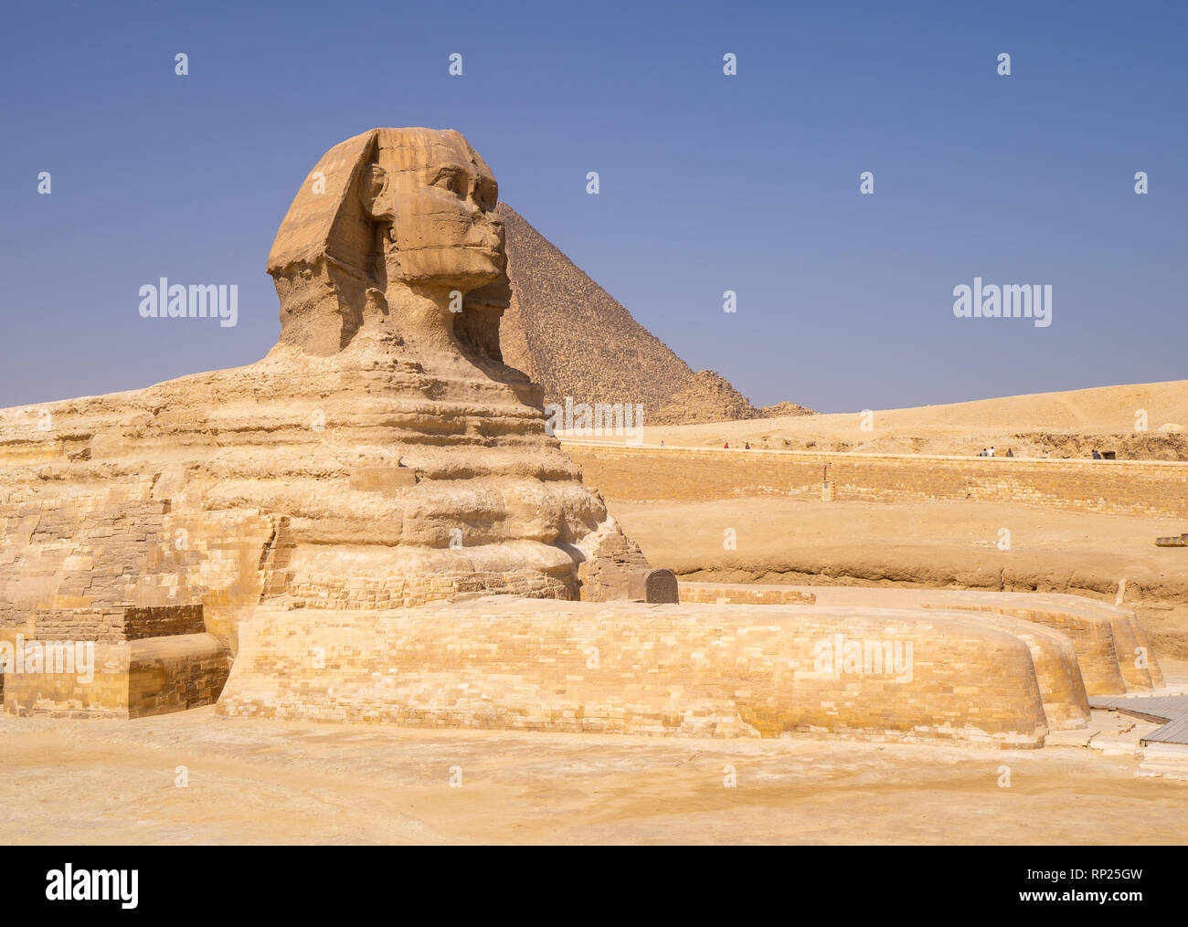 Great Sphinx of Giza, with the Great Pyramid in the background Stock ...