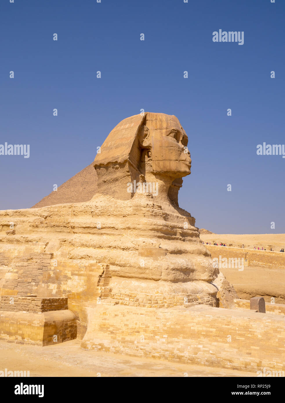 Great Sphinx of Giza, with the Great Pyramid in the background Stock ...