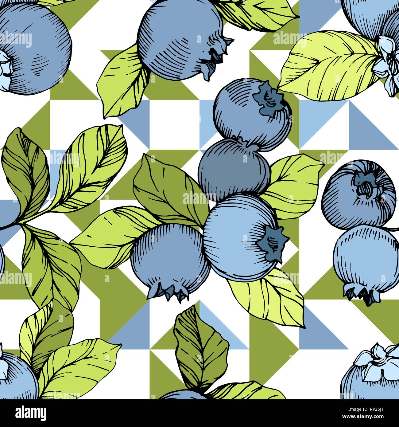 Vector Blueberry green and blue engraved ink art. Berries and green ...