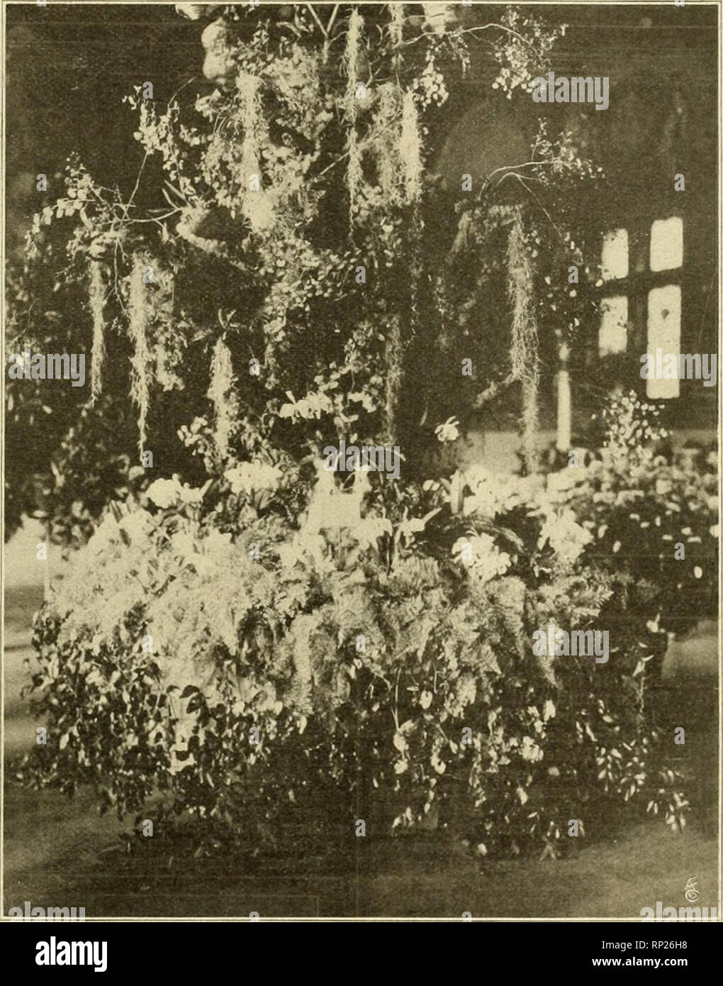 Robert penson hi-res stock photography and images - Alamy