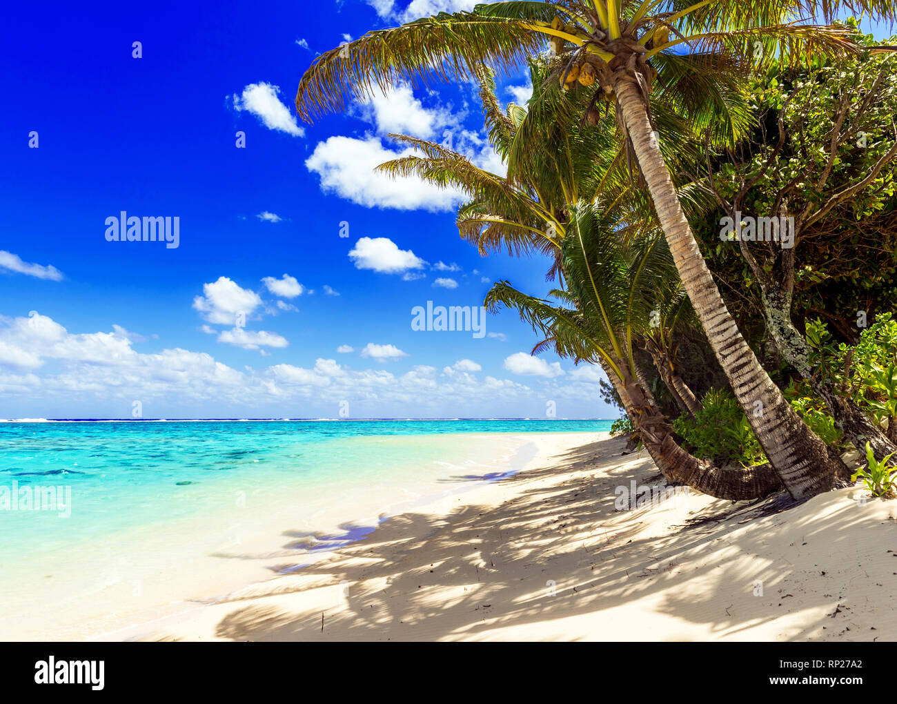 View of the sandy beach, Cook Islands, South Pacific. Copy space for ...