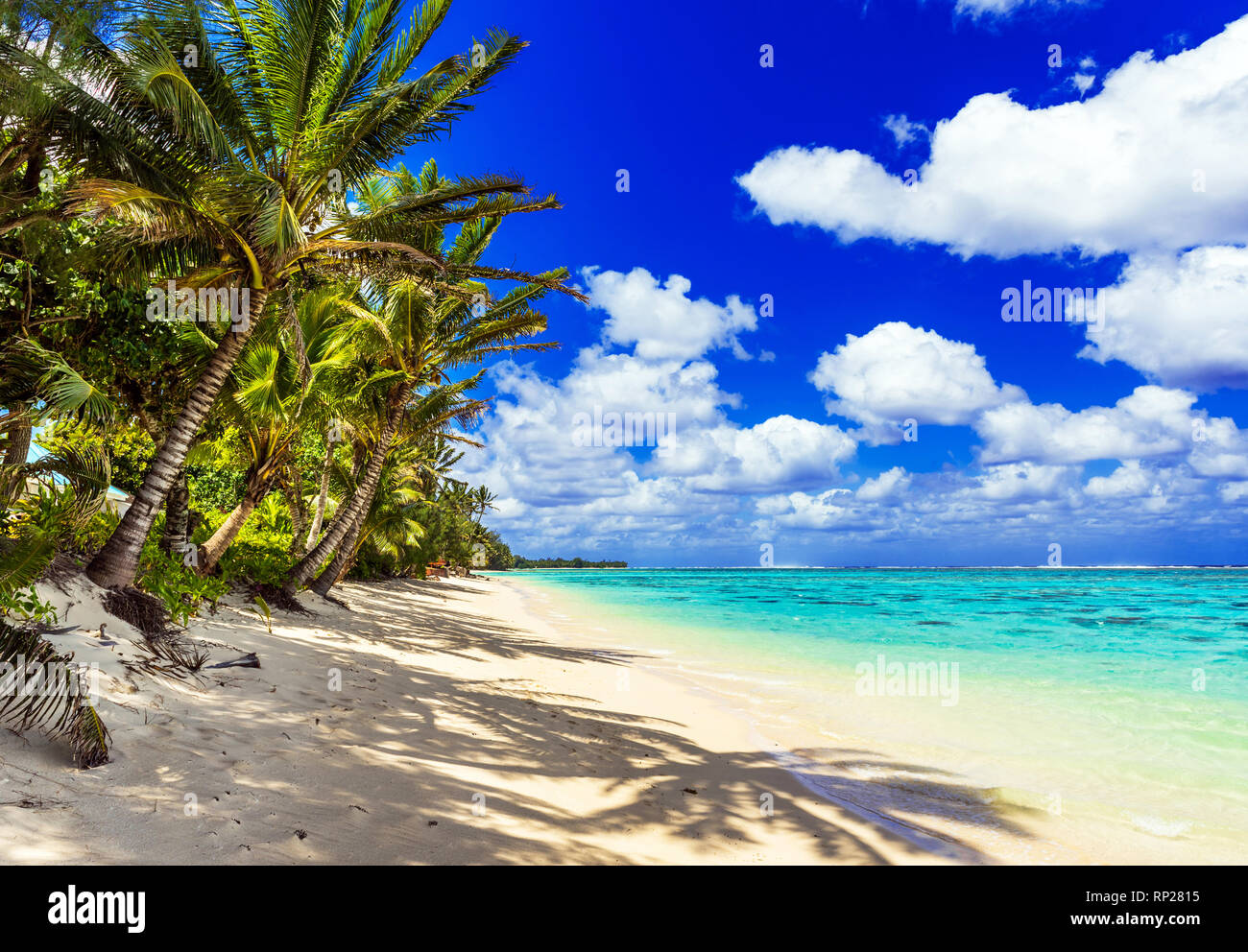 View of the sandy beach, Cook Islands, South Pacific. Copy space for ...