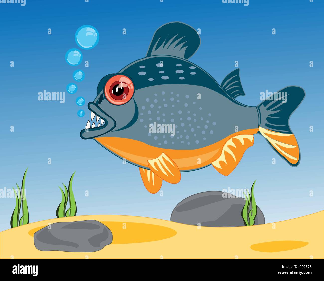 Vector illustration of ravenous river fish piranhas sailling in water ...