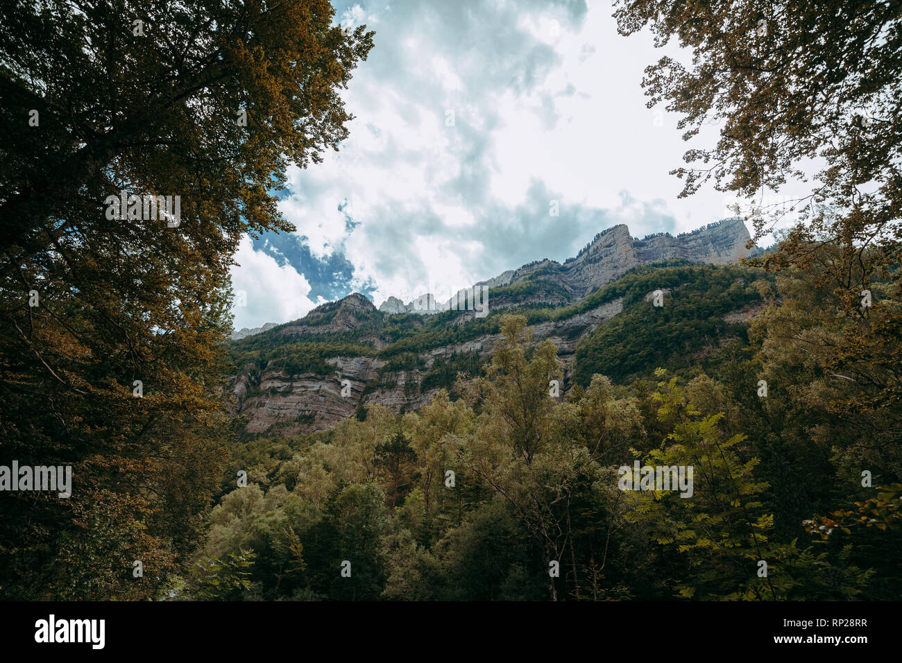 Pelay hi-res stock photography and images - Alamy