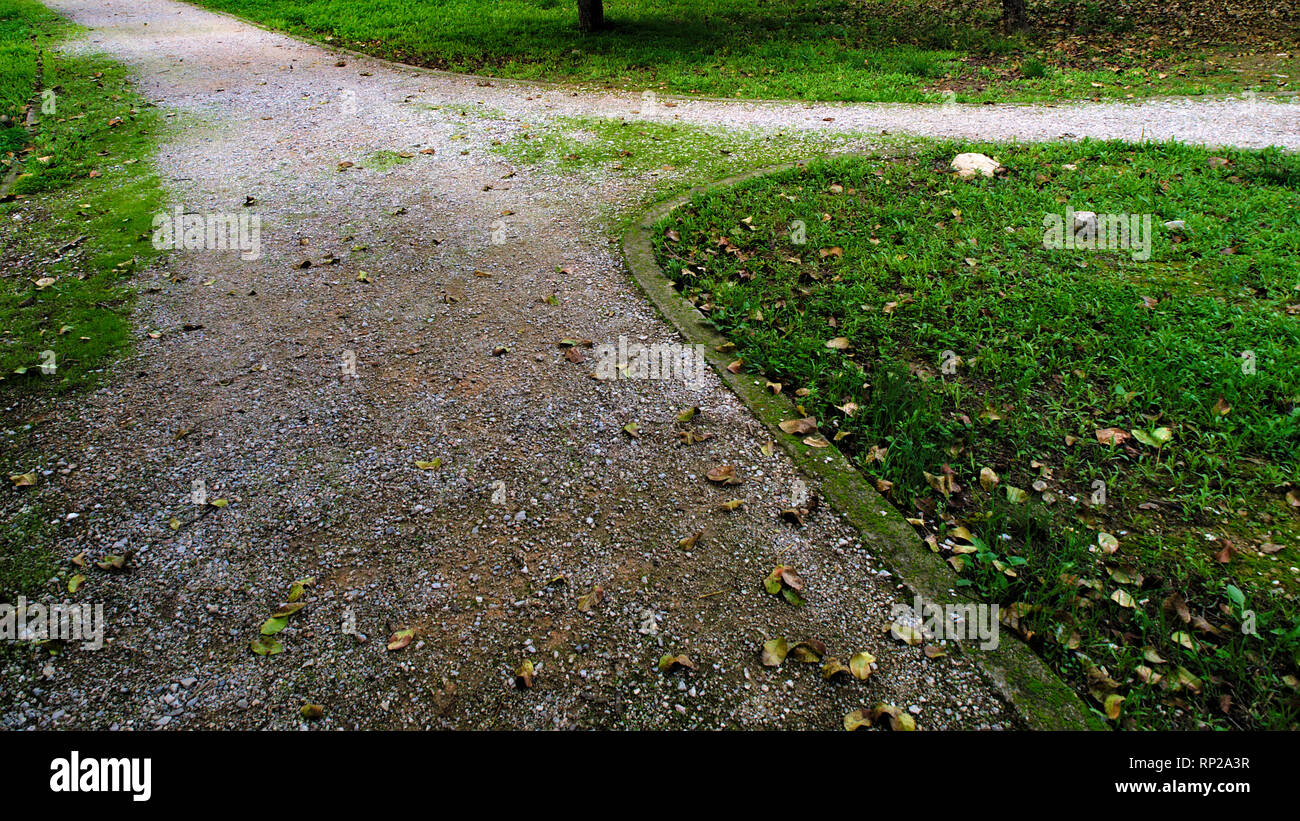 Park curved soil pathways with trees and green low grass. Panorama ...