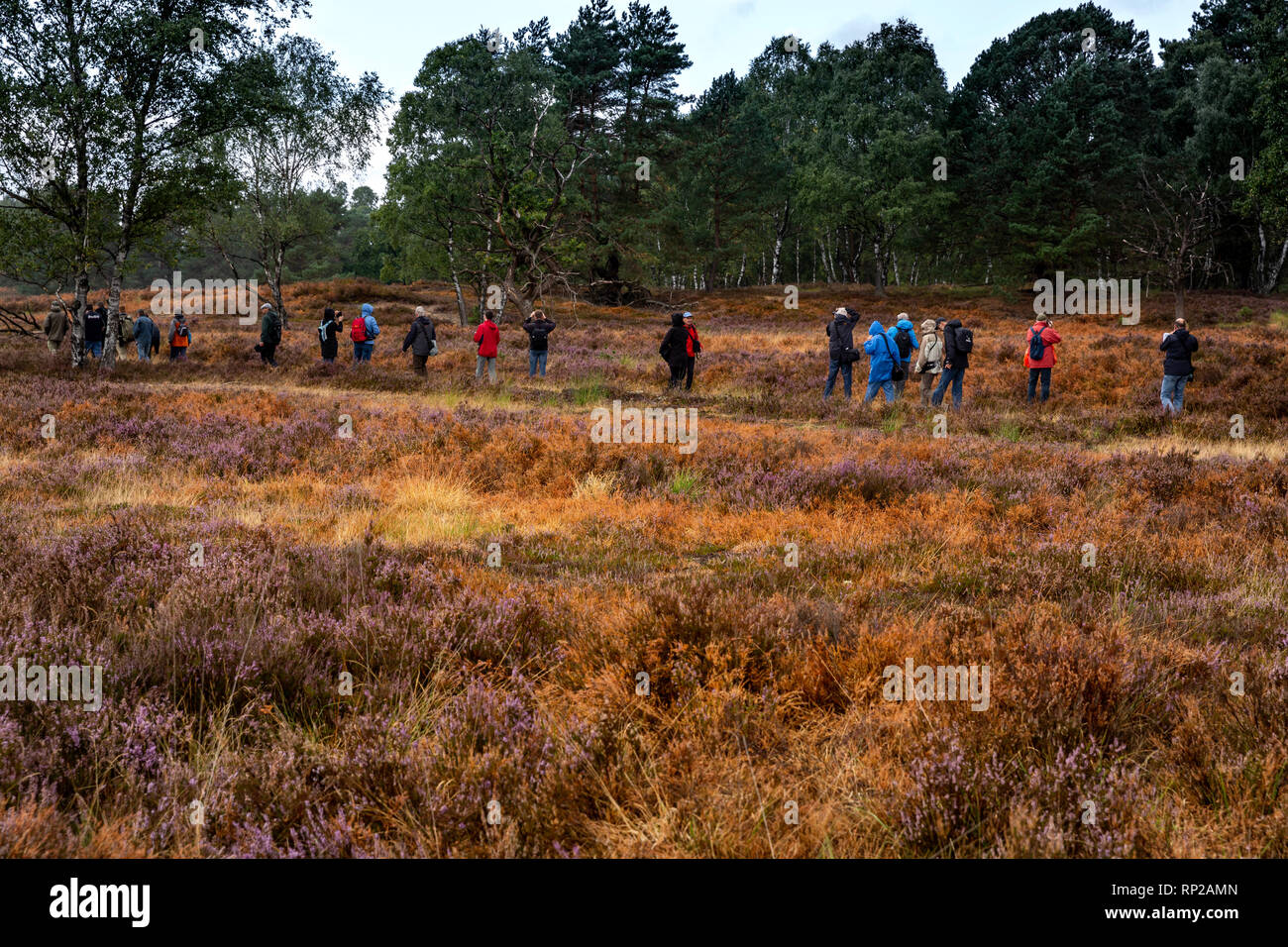 British army training area hi-res stock photography and images - Alamy