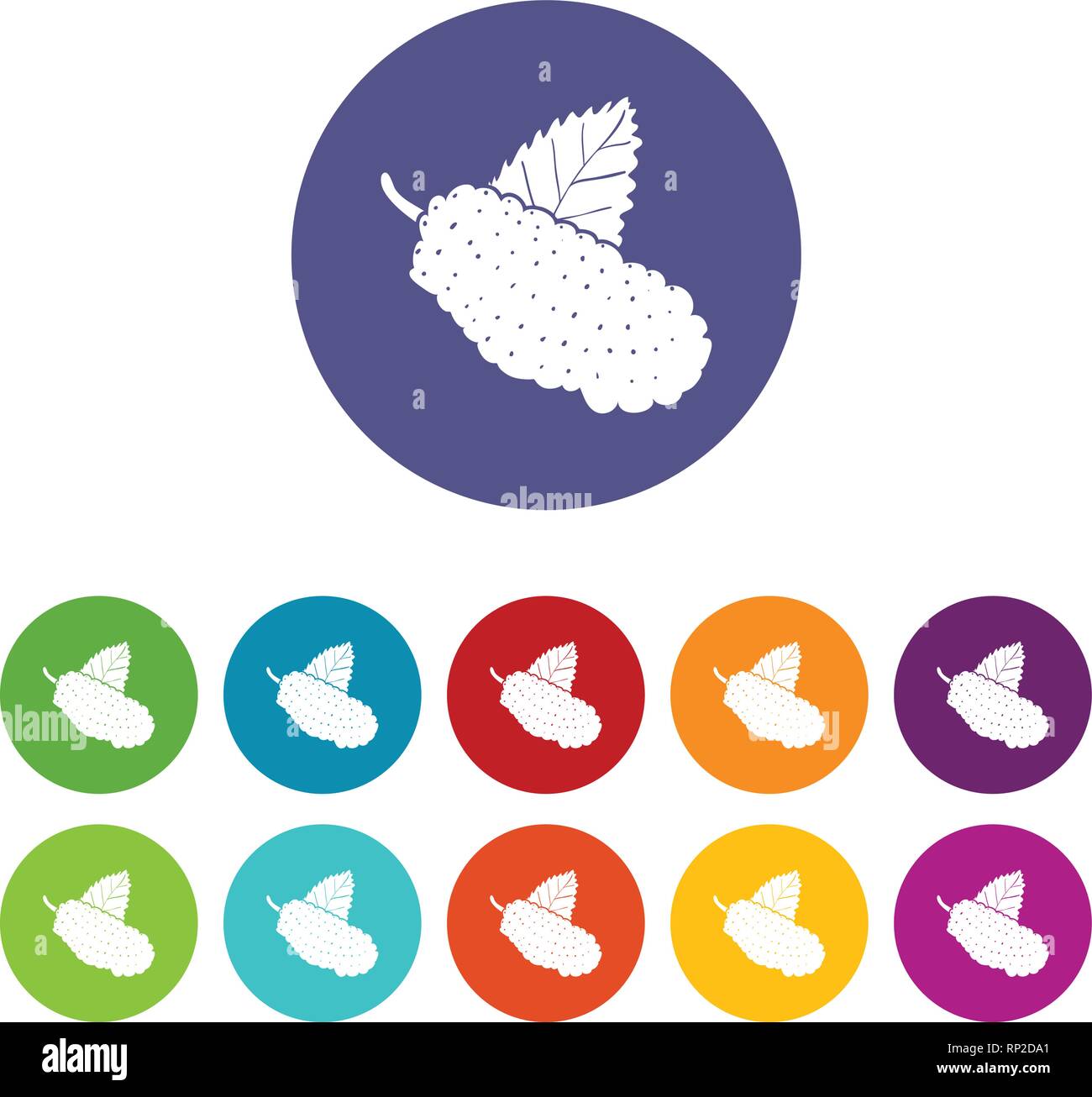 White mulberry tree Stock Vector Images - Alamy