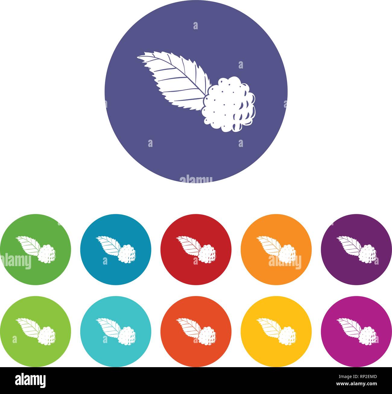 Blackberry icons set vector color Stock Vector Image & Art - Alamy