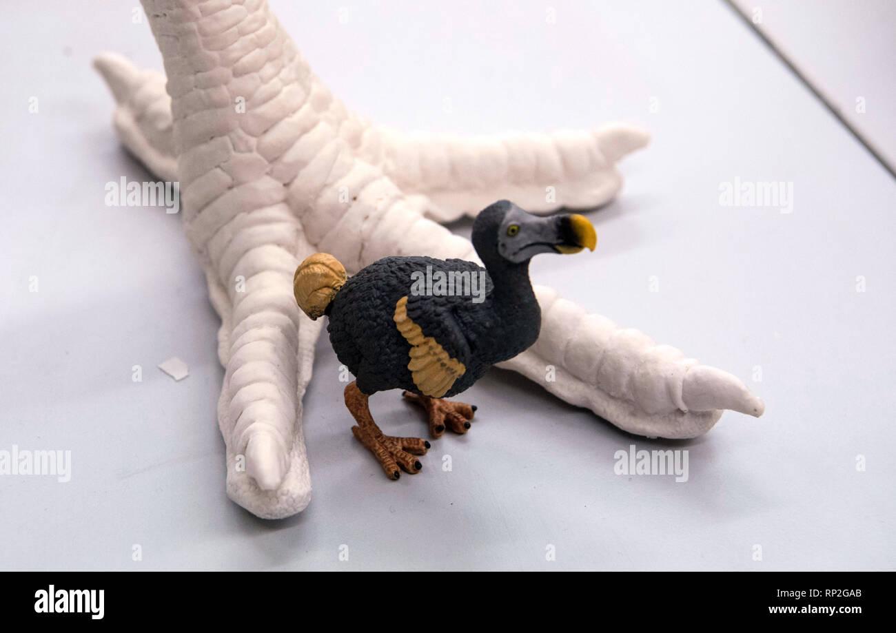 Frankfurt, Germany. 20th Feb, 2019. The plastic figure of a dodo stands ...